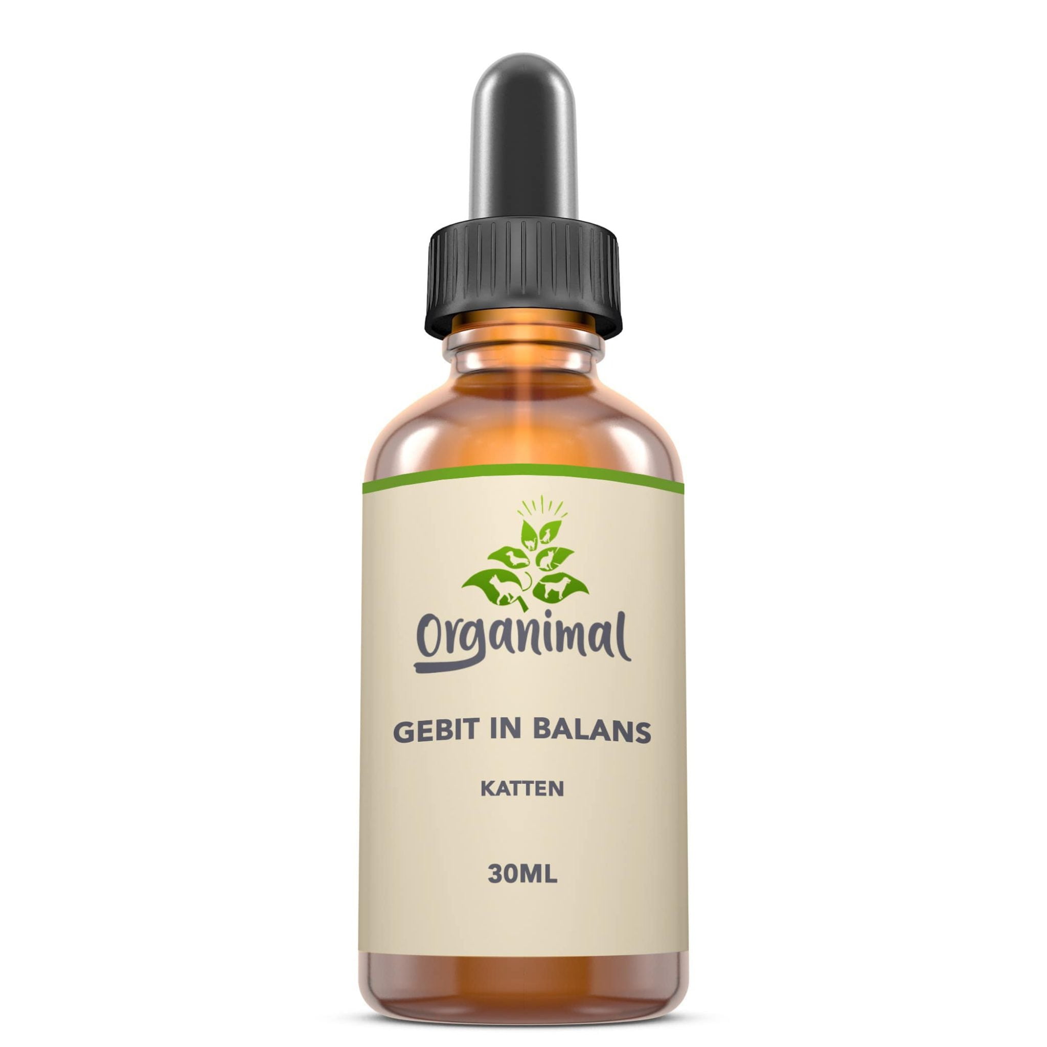 Katten - Organimal | 100% natuurlijke producten